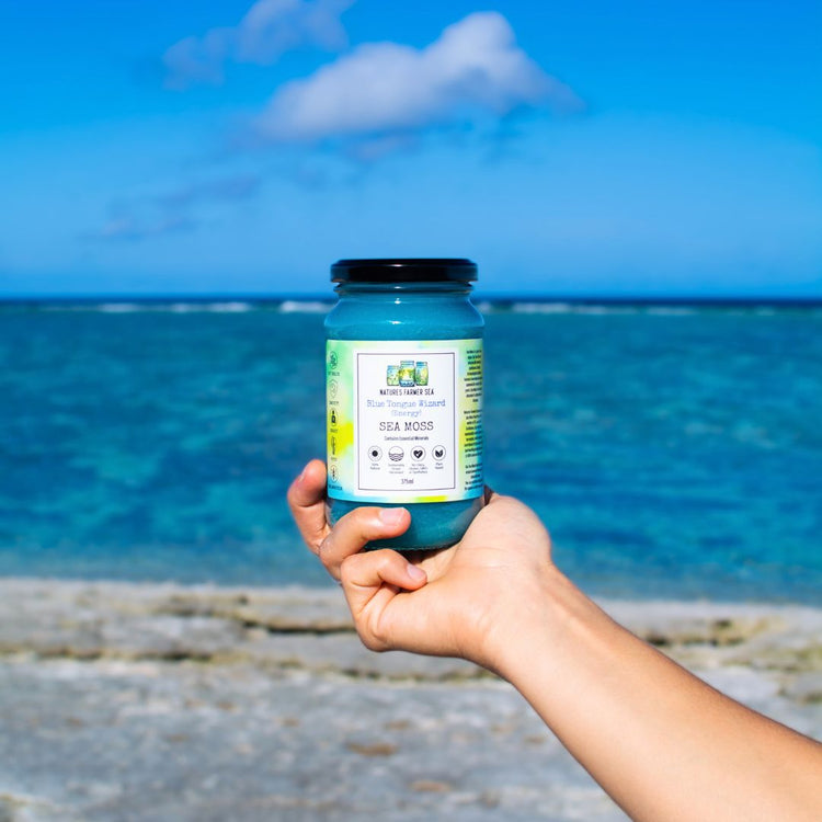 Benefits of Sea Moss for Joint and Bone Health Explained