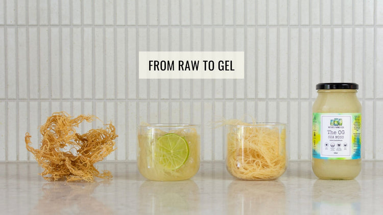 From Raw Sea Moss To Gel | Create | Natures Farmer Sea